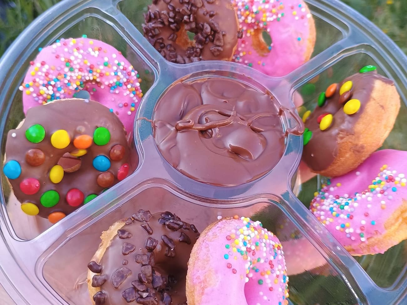 DONUTSECIA